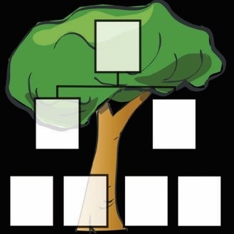 HOE MAAK JE EEN STAMBOOM